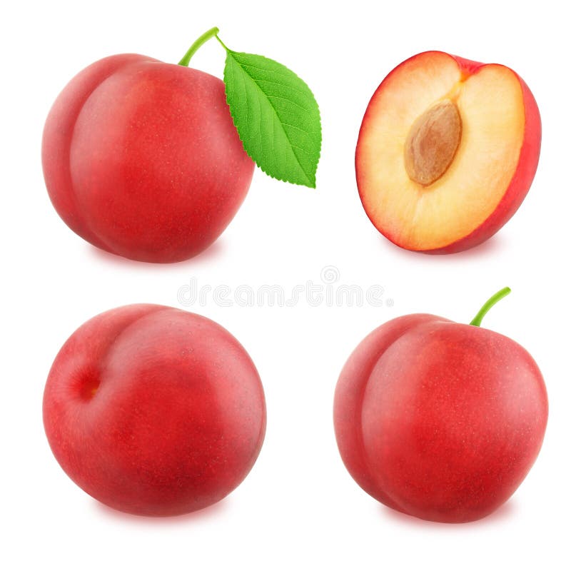 Set of juicy red plums stock image. Image of composition - 92293353