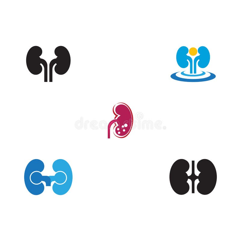 Set Kidney Vector Illusrtation Design Logo Template Stock Vector ...