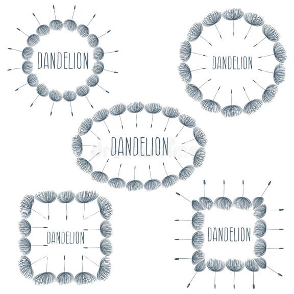 Set of Labels Fluffy Dandelion .Vector Illustration Stock Vector ...