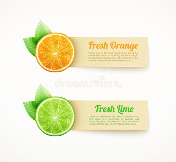 Set of Labels with Orange and Lime Stock Vector - Illustration of ...
