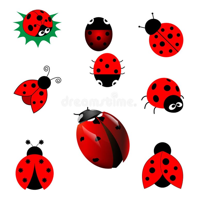 Group Ladybugs Stock Illustrations – 250 Group Ladybugs Stock ...
