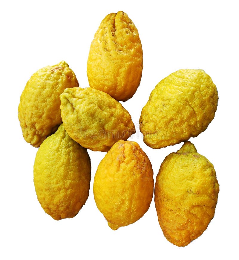 A Set Large Lemon with a Rough Texture Stands Out Against a Simple ...