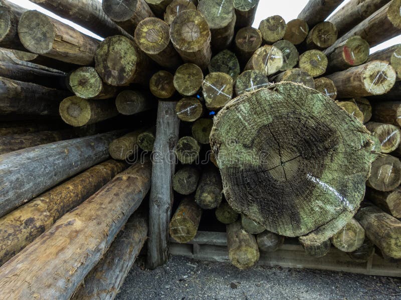 Set of Large Wooden Trunks Stacked in an Unorganized Manner Stock Photo ...