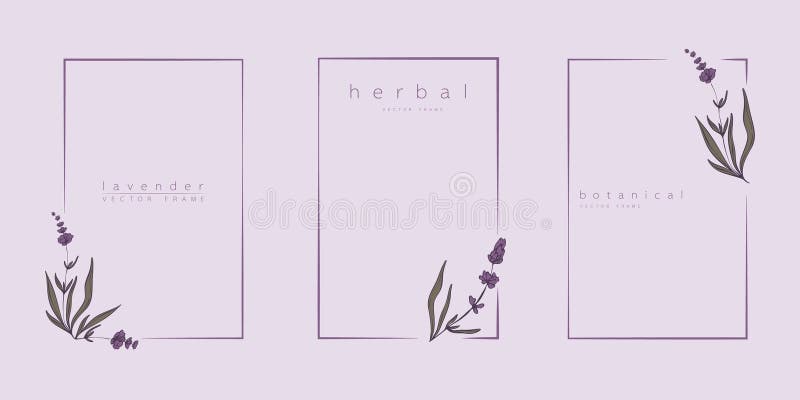 Set of Lavender Frame Templates in Minimal Linear Style Stock Vector ...