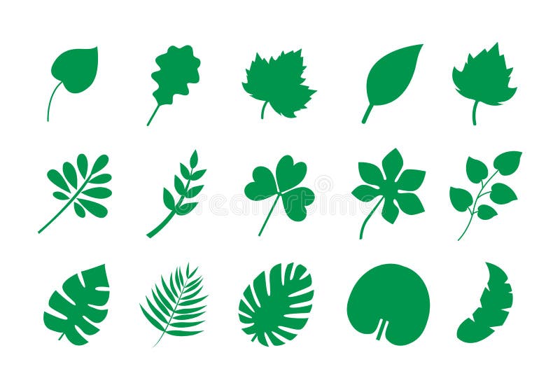 Set of Leaf Icons. Different Green Leaves of Plants. Vector Flat Icons ...