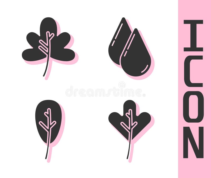 Set Leaf or Leaves, Leaf or Leaves, Leaf or Leaves and Water Drop Icon ...