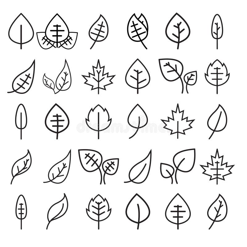 Set of leaf line icon stock vector. Illustration of leaves - 96231329