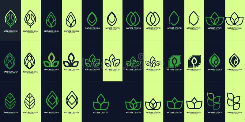 Set of Leaf logo design stock vector. Illustration of fresh - 181581881