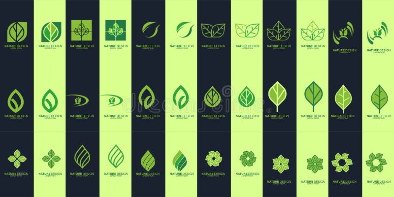 Set of Leaf logo design stock vector. Illustration of agriculture ...