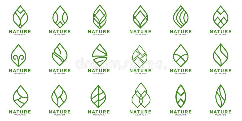 Set of Leaf logo design stock vector. Illustration of herbal - 181582052