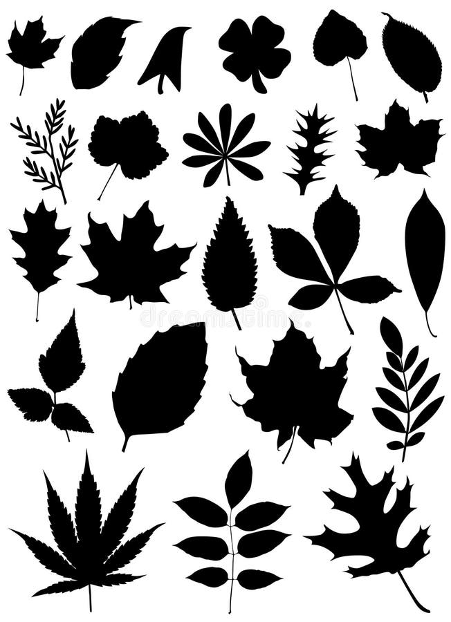 Set of leaf vector stock vector. Illustration of meadow - 9477248