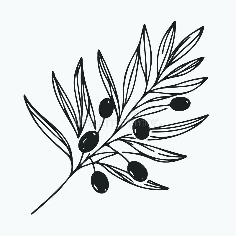 Set of Leaves Black and White Silhouettes of Olive Branch, Seamless ...