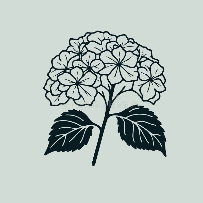 Set of Leaves Black and White Silhouettes of Leaves Seamless Pattern ...