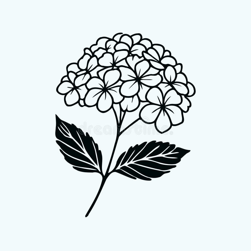 Set of Leaves Black and White Silhouettes of Leaves Seamless Pattern ...