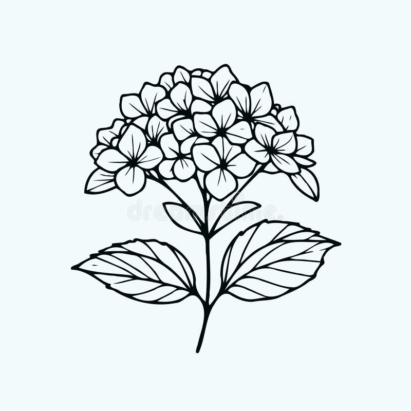 Set of Leaves Black and White Silhouettes of Leaves Seamless Pattern ...