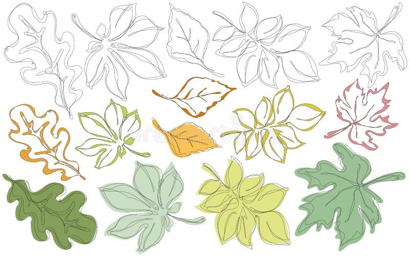 Set of Leaves, Continuous Line Drawing Leaf, Smooth Lines in Minimalism ...