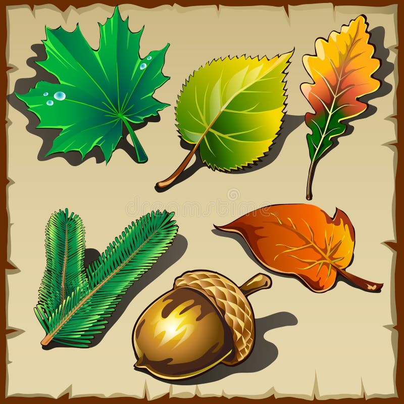 Set of Leaves from Different Trees, Six Icons Stock Vector ...