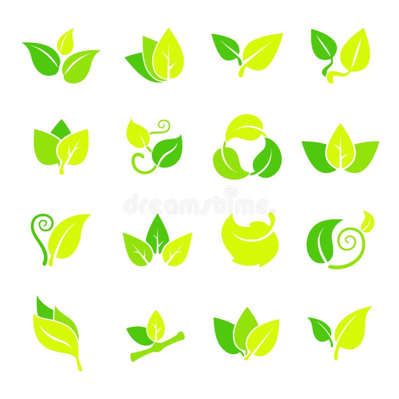 Set of leaves icon stock vector. Illustration of nature - 104765521