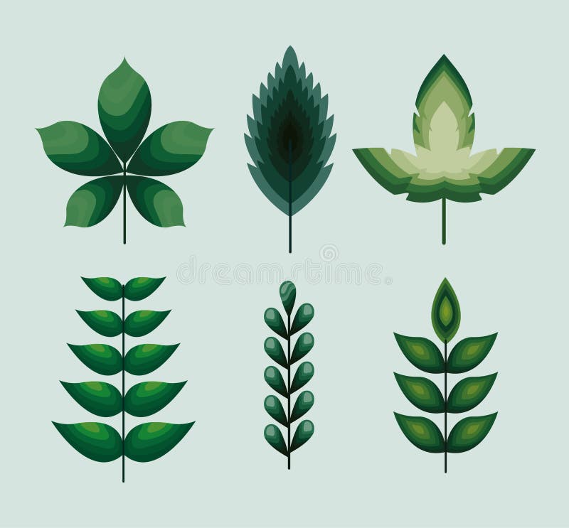 Set of Leaves Icons with Green Color Stock Vector - Illustration of ...