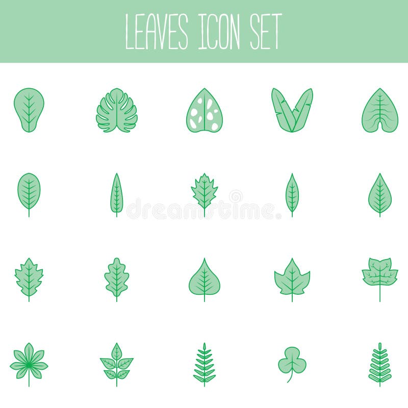 Set of Leaves Icons. Vector Illustration Decorative Design Stock Vector ...