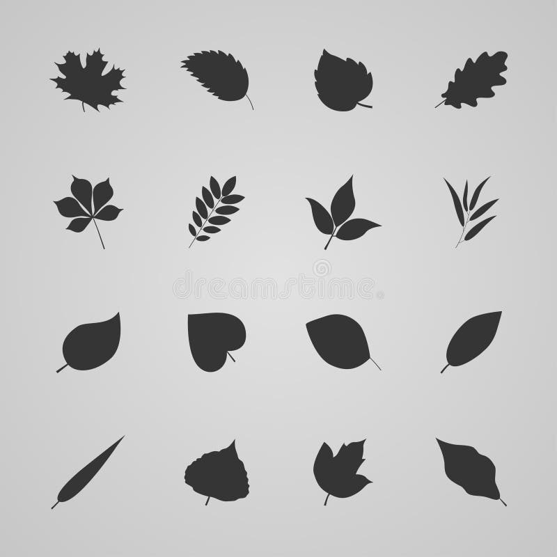 Leaves Types with Names Outline Vector Icon Set. Stock Vector ... Leaves Types with Names Outline Vector Icon Set. Stock Vector ...