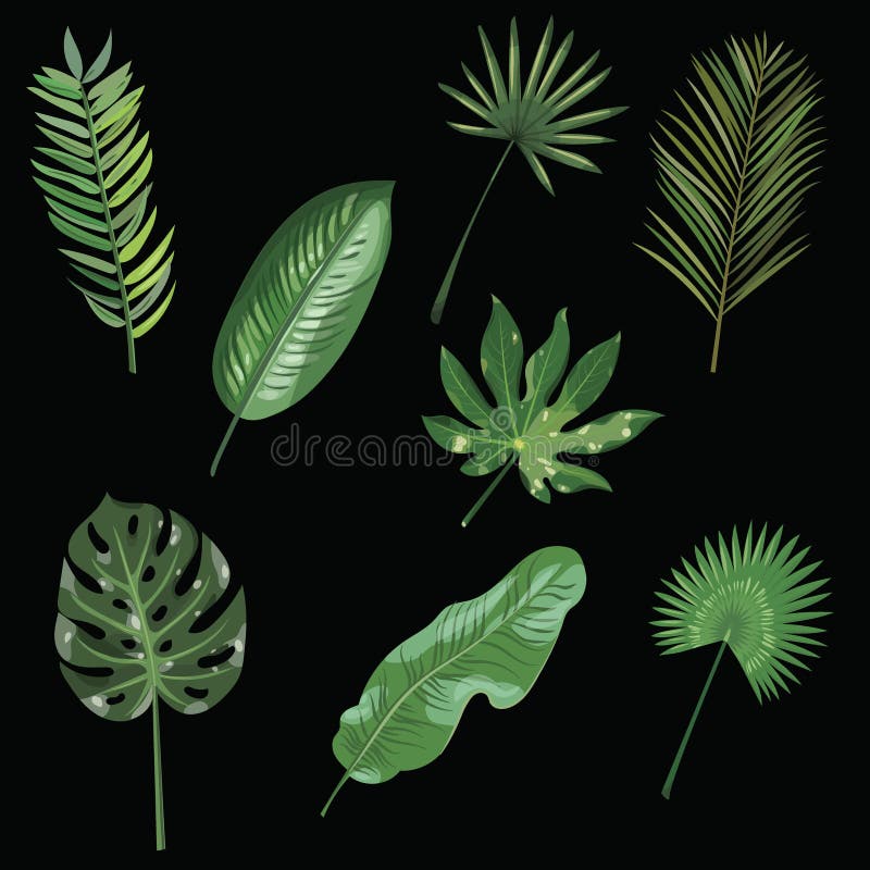 Set of Leaves of Tropical Plants. Collection of Exotic Leaves. Colored ...