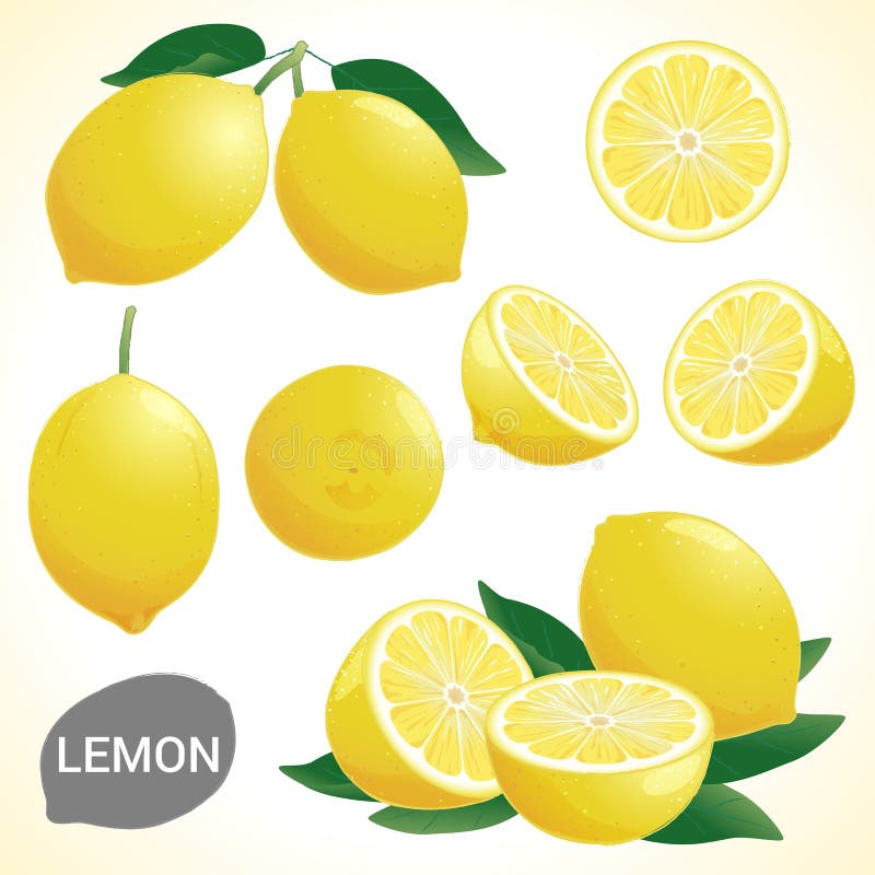 Lemon fruit set stock vector. Illustration of lemonade - 122063645