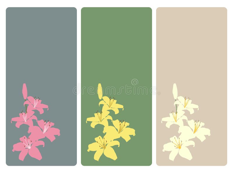 Set of Lily Flower, Tag or Label, Vector Stock Vector - Illustration of ...