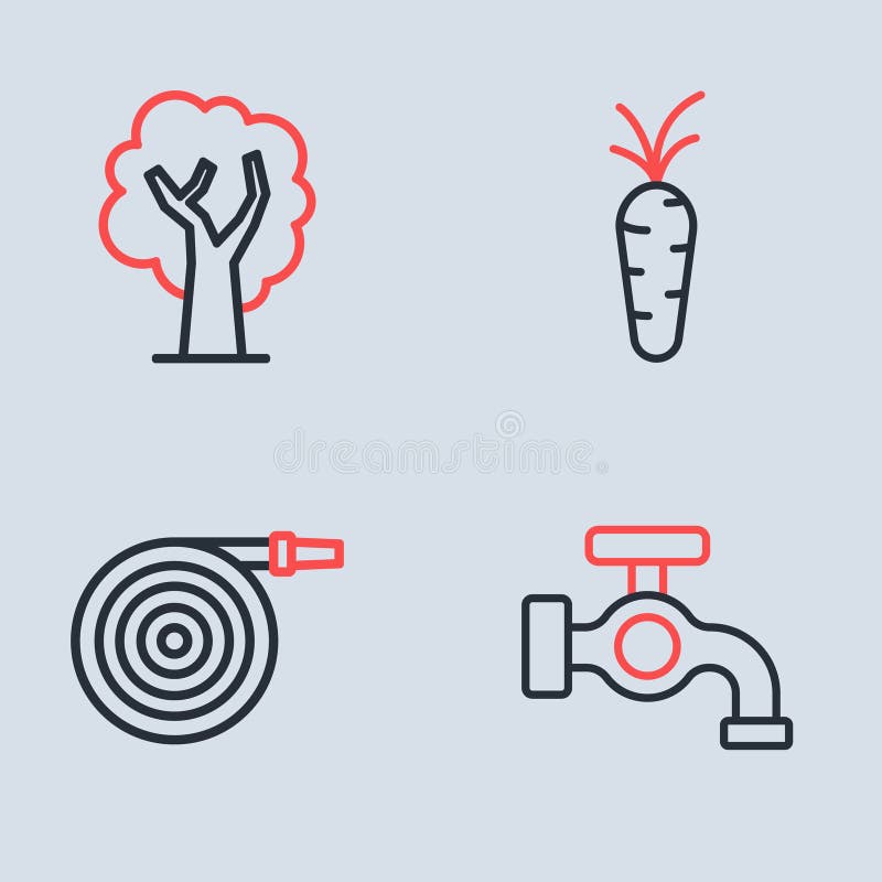 Set Line Carrot, Garden Hose, Water Tap and Tree Icon. Vector Stock ...