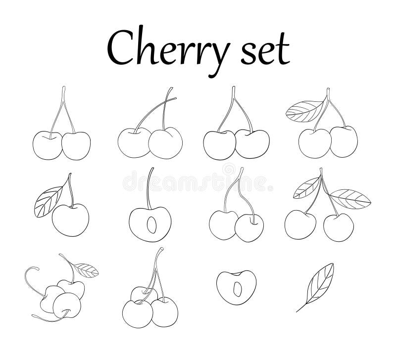 Set of line drawing cherry stock vector. Illustration of drawing - 67625736