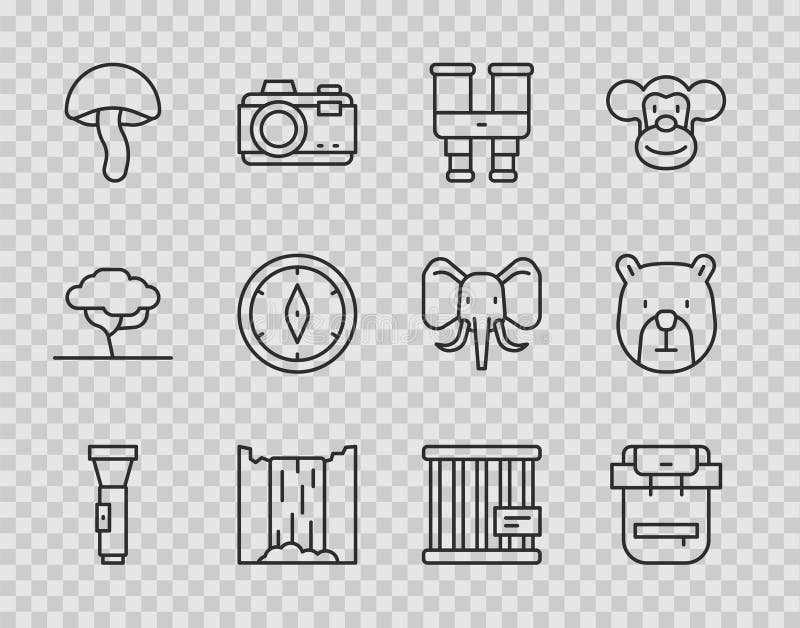 Set Line Flashlight, Hiking Backpack, Binoculars, Waterfall, Mushroom ...