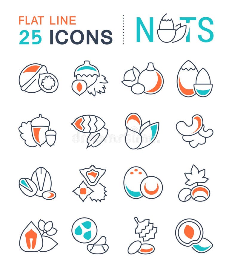 Set Vector Flat Line Icons of Nuts Stock Illustration - Illustration of ...