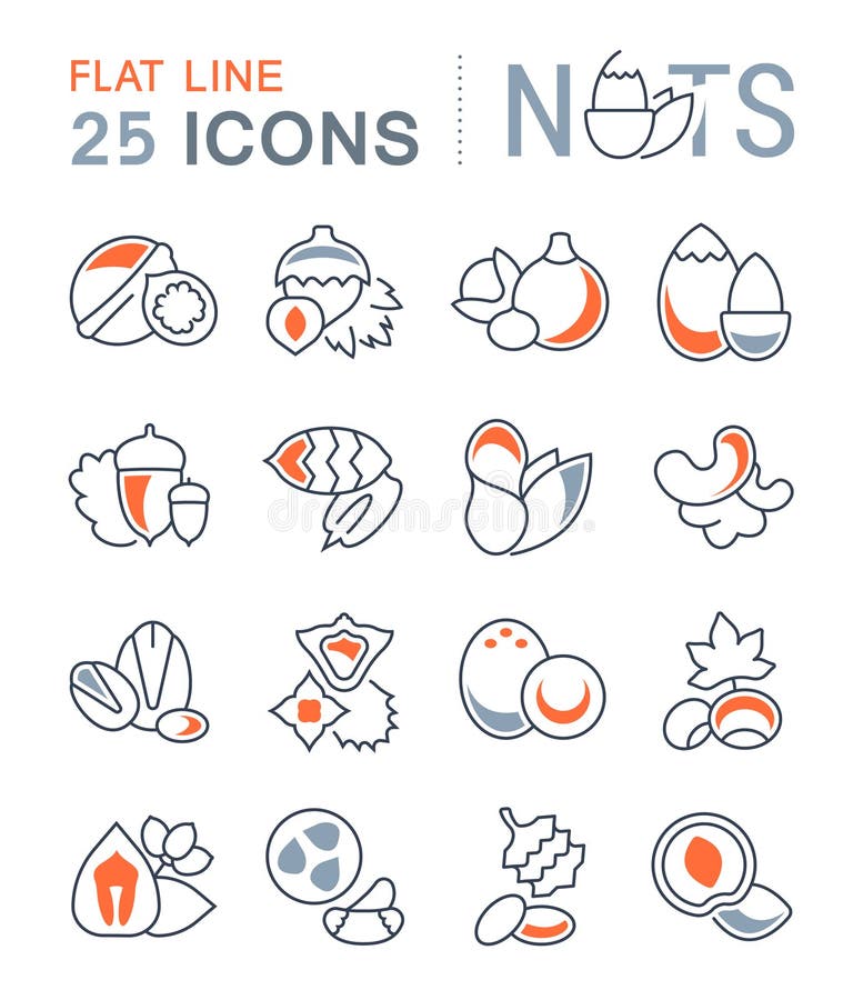 Set Vector Flat Line Icons of Nuts Stock Illustration - Illustration of ...