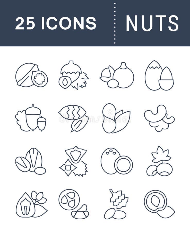 Set Vector Flat Line Icons of Nuts Stock Illustration - Illustration of ...