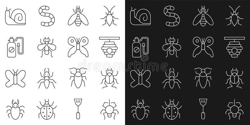 Set Line Spider, Beetle Bug, Hive for Bees, Insect Fly, Pressure ...