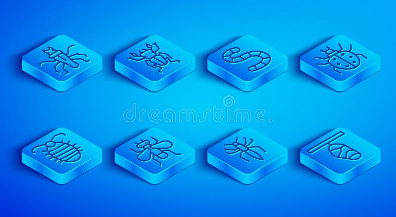 Termite Spider Worm Insect Stock Illustrations – 253 Termite Spider ...