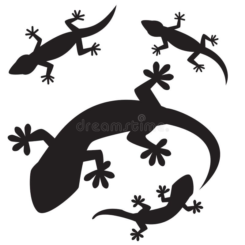 Lizards Shadow Stock Illustrations – 30 Lizards Shadow Stock ...