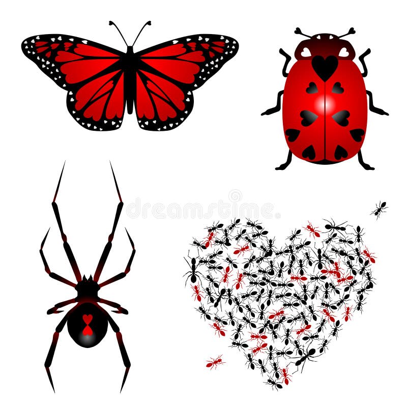 Insect Heart Stock Illustrations – 10,135 Insect Heart Stock ...