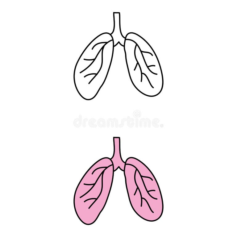 Lungs 5 stock vector. Illustration of black, healthcare - 316557780
