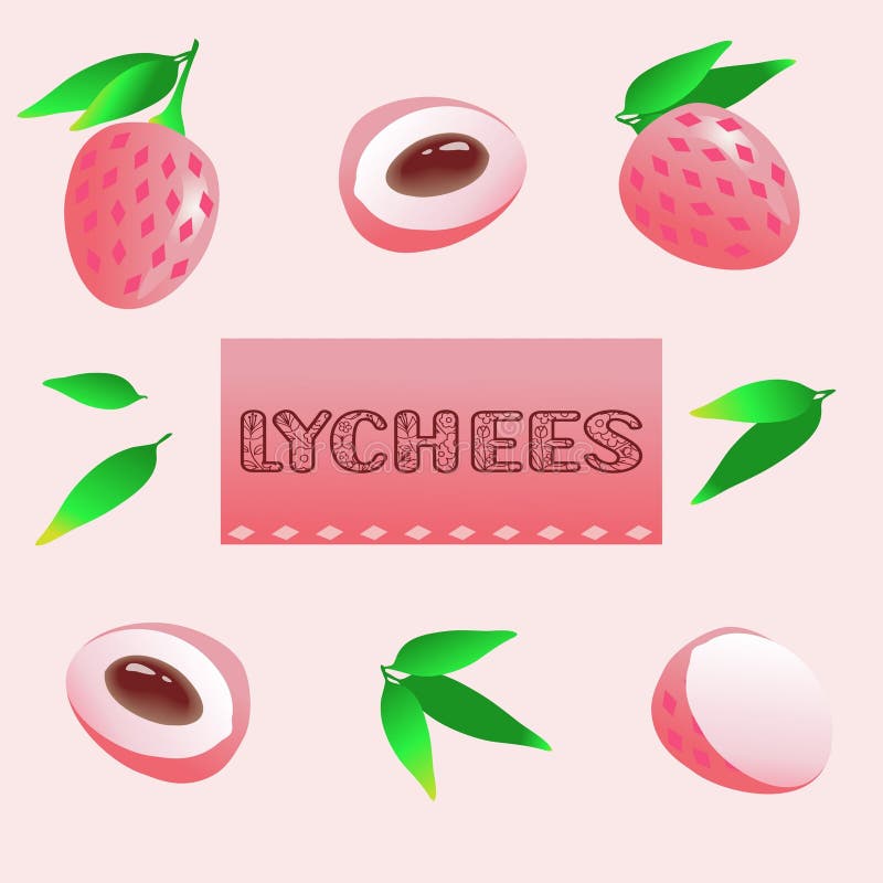 Set of Lychee Fruit with Leaves Design Elements. Flat Vector ...