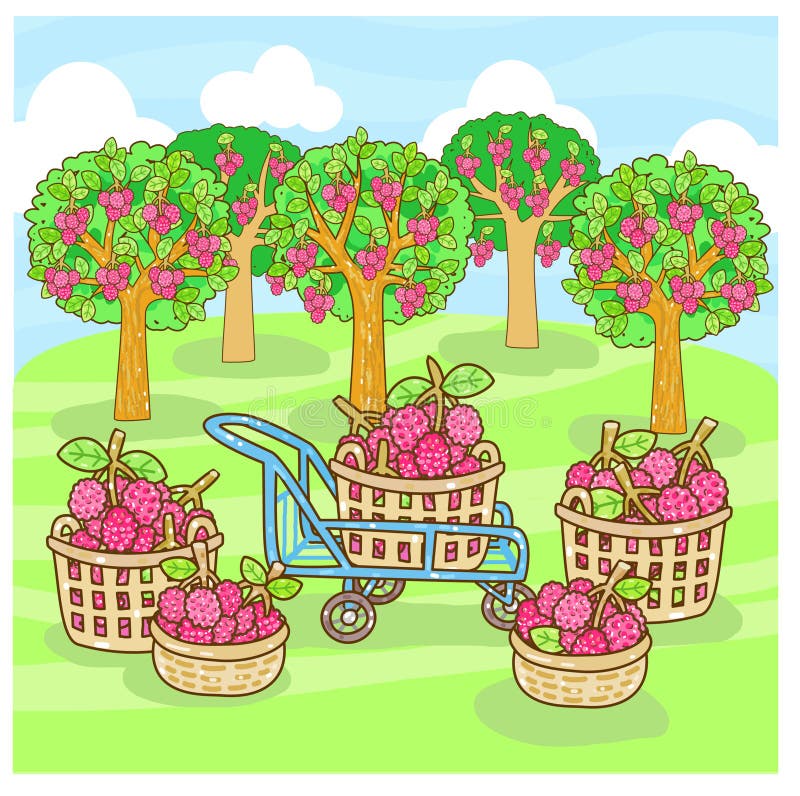 Lychee Fruit Asia Fruit Tree Stock Illustrations – 38 Lychee Fruit Asia ...