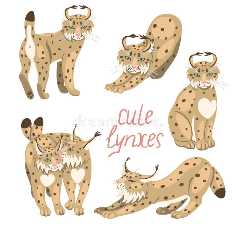 Lynxes Stock Illustrations – 196 Lynxes Stock Illustrations, Vectors ...