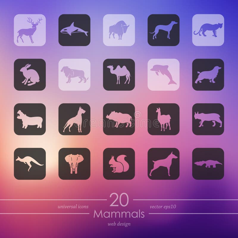 Set of mammals icons stock vector. Illustration of animals - 56799560