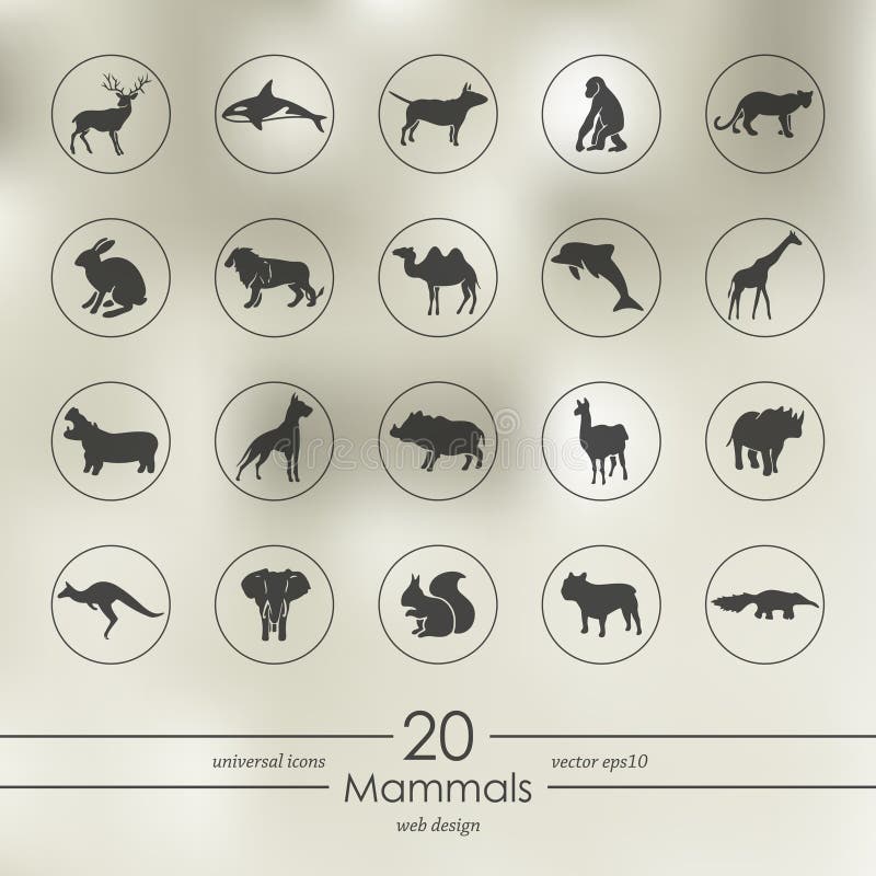 Set of mammals icons stock vector. Illustration of hare - 57134087