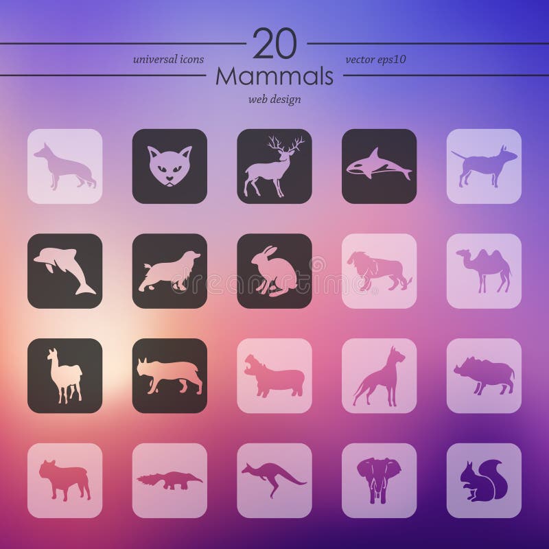 Set of mammals icons stock vector. Illustration of hippopotamus - 79186709