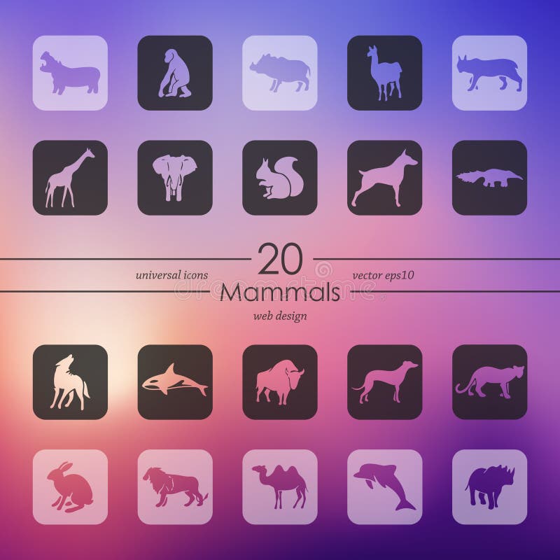 Set of mammals icons stock vector. Illustration of focus - 79186671