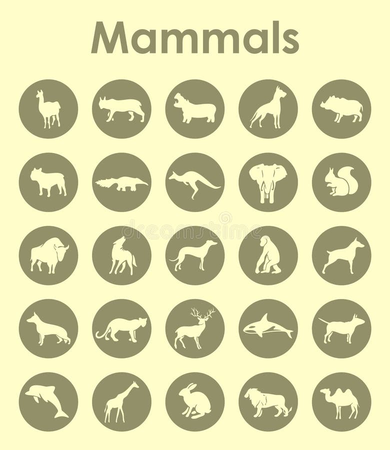 Set of Mammals Simple Icons Stock Vector - Illustration of hippopotamus ...