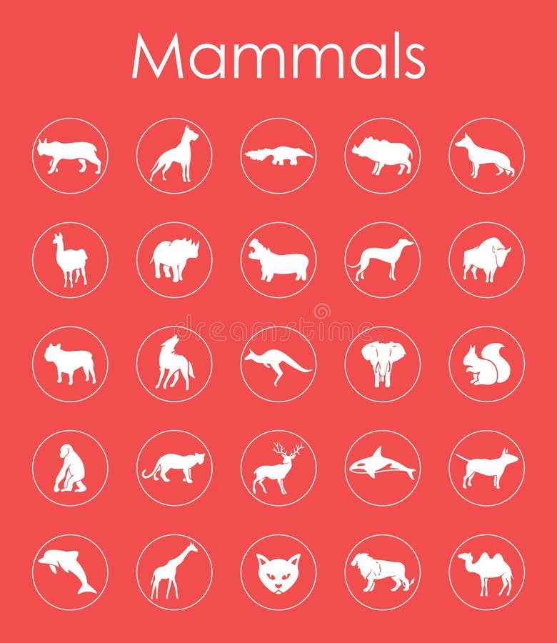 Set of Mammals Simple Icons Stock Vector - Illustration of hippopotamus ...