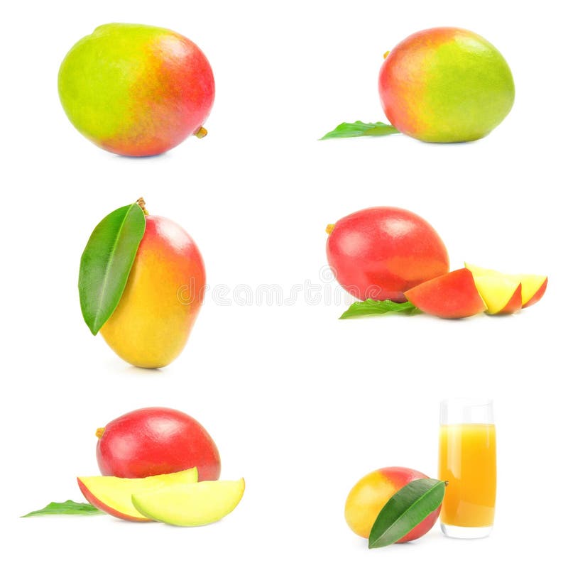Collage of Red Mango on a White Background Clipping Path Stock Image ...