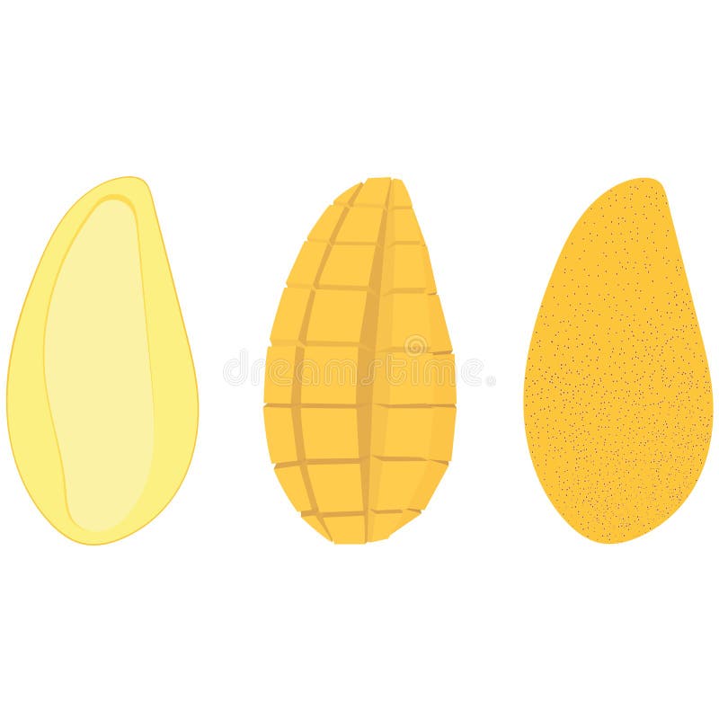 Set of Mango in Three Types â€“ Half with a Bone, Cut, in a Peel ...